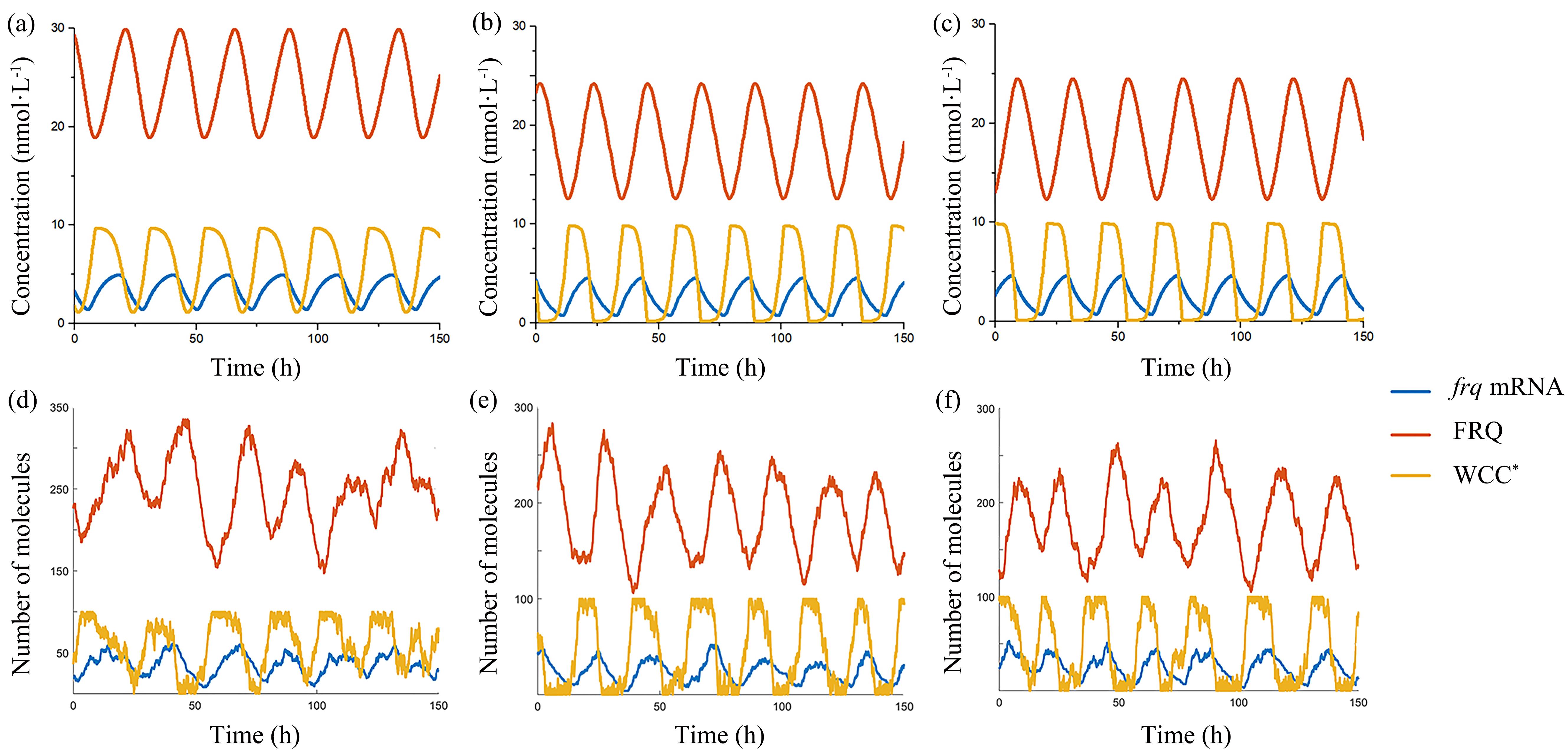多位点磷酸化促进精准的昼夜节律