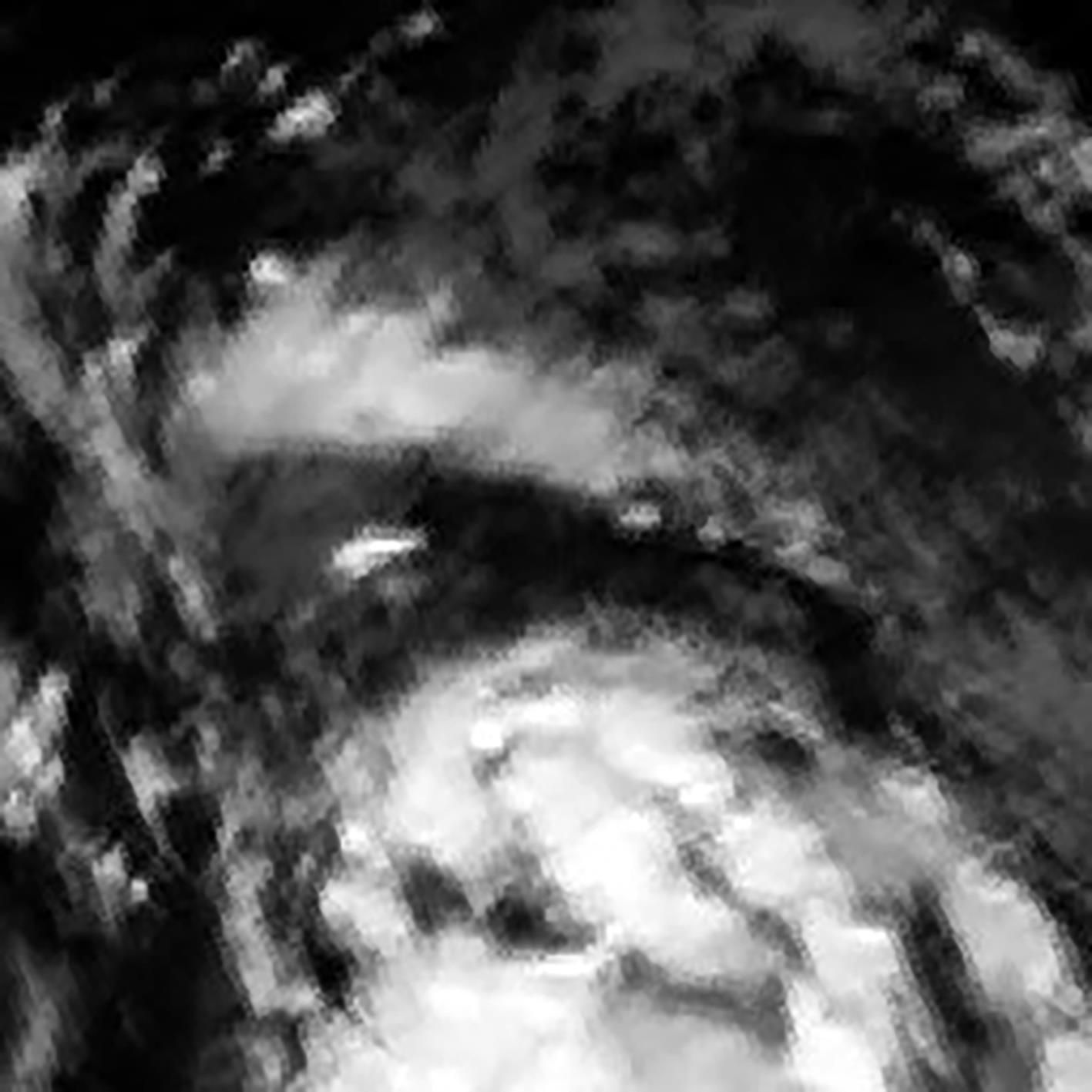 基于3D卷积和自注意力机制的卫星云图预测研究